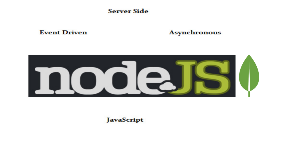 Why Choose a Software Development Company over Freelancer Software ...
