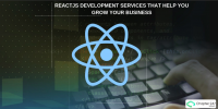 ReactJS Development Services that help you grow your business | Chapter247
