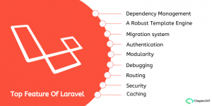 Top 10 Reasons to Choose Laravel Framework for Web Development | Chapter247