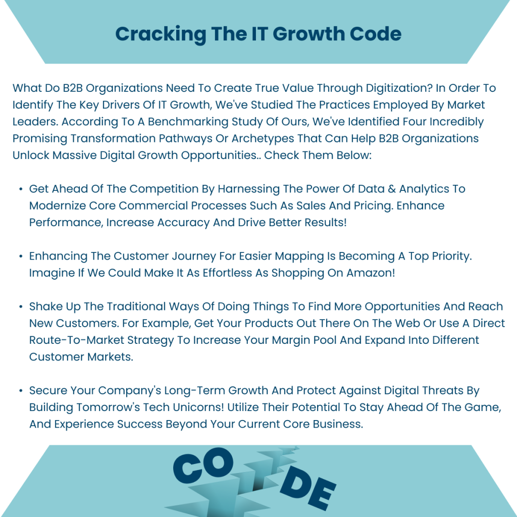 Pathways to IT growth that work for B2B companies | Chapter247